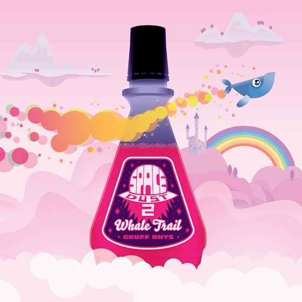 Gruff Rhys - Space dust 2 (12-inch) | Discords.nl