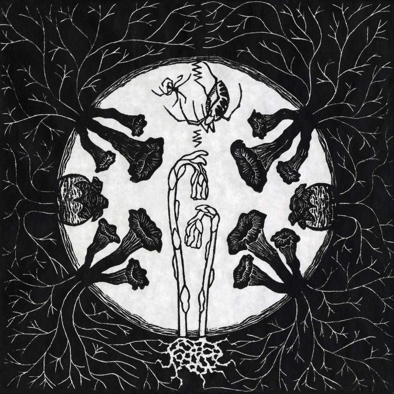 Magic Tuber Stringband - Tarantism (LP) | Discords.nl