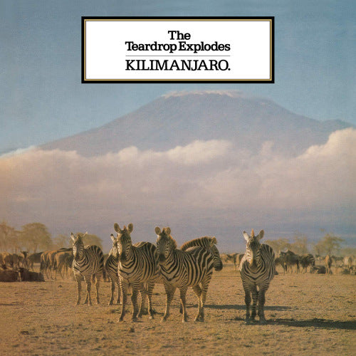 Teardrop Explodes - Kilimanjaro (LP) | Discords.nl