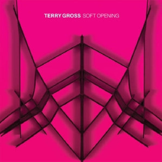 Terry Gross - Soft opening (LP) | Discords.nl